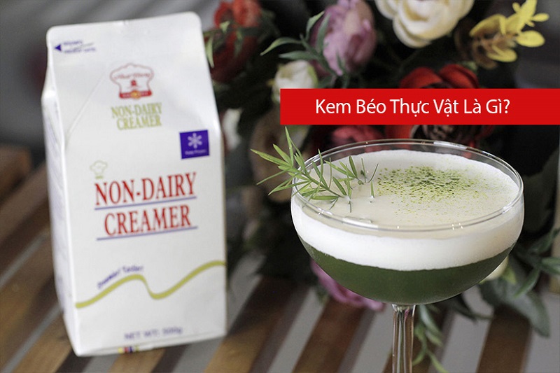 Bạn đã biết những gì về bột creamer - bột kem béo thực vật?